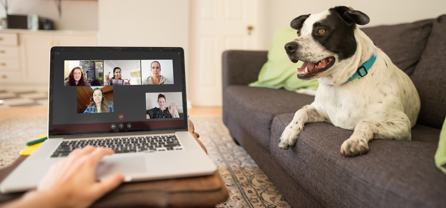 Tropical Financial is Miami Florida's Best Credit Union